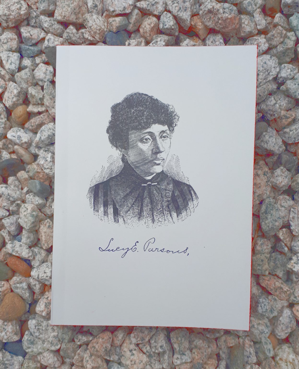 The Life of Albert R. Parsons with Brief History of the Labor Movement ...